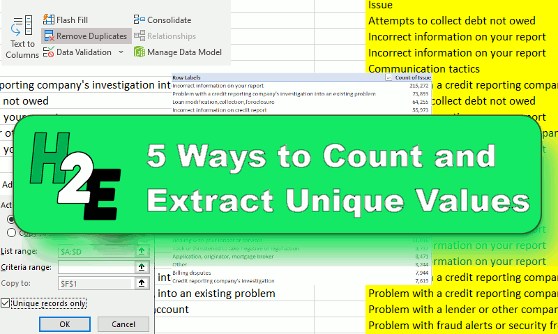 5 Ways to Count and Extract Unique Values in Excel - HowtoExcel.net